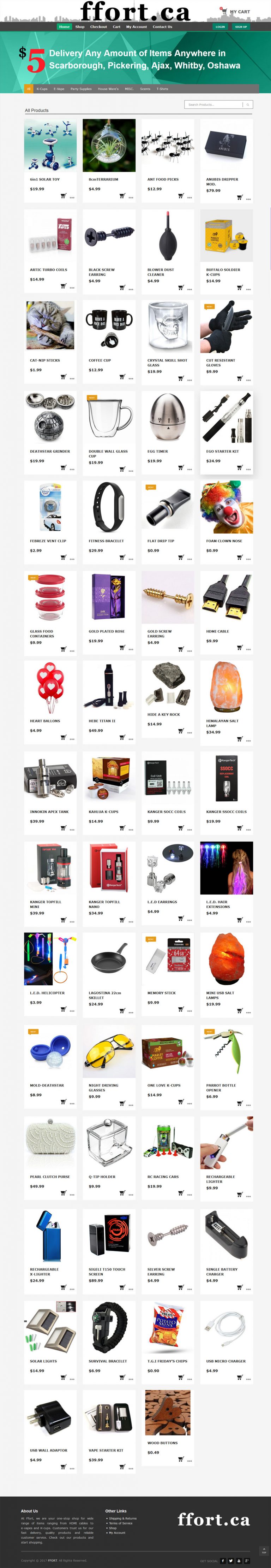 eCommerce Website Portfolio Winnipeg- Web Design Examples